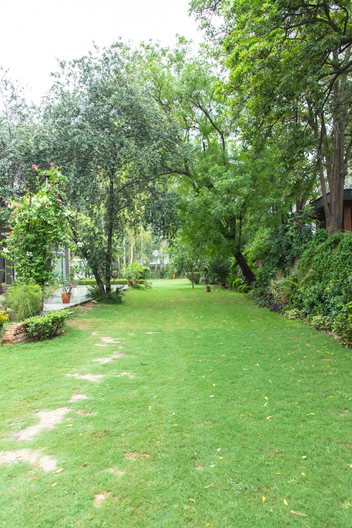 Eucalyptus Forest In The City With Pool - Delhi