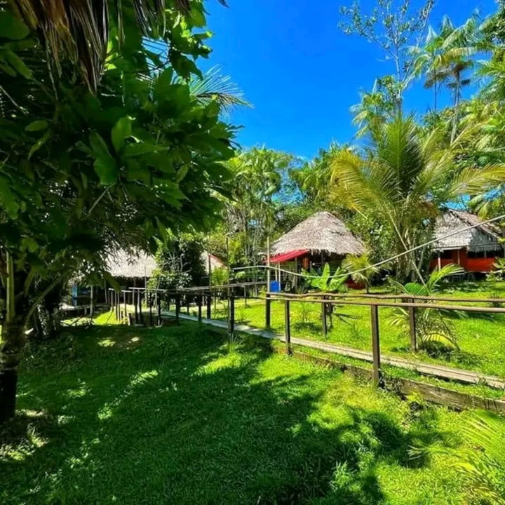 Vive La Experiencia Y Enamórate Iquitos Y Su Selva - Iquitos
