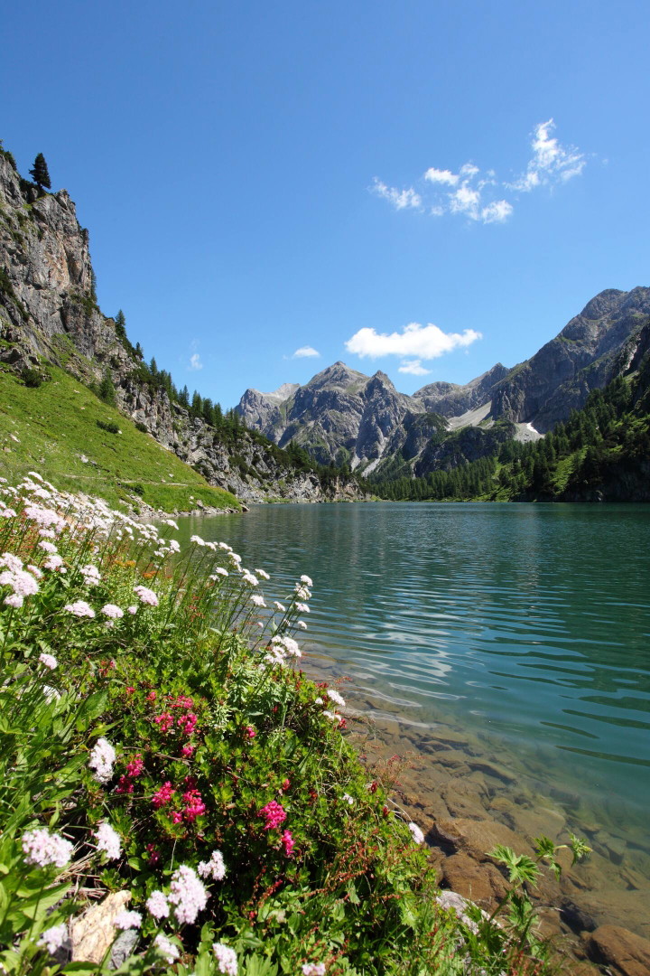 Appartement 1 - Urlaub - Berge  & Du! - Wagrain