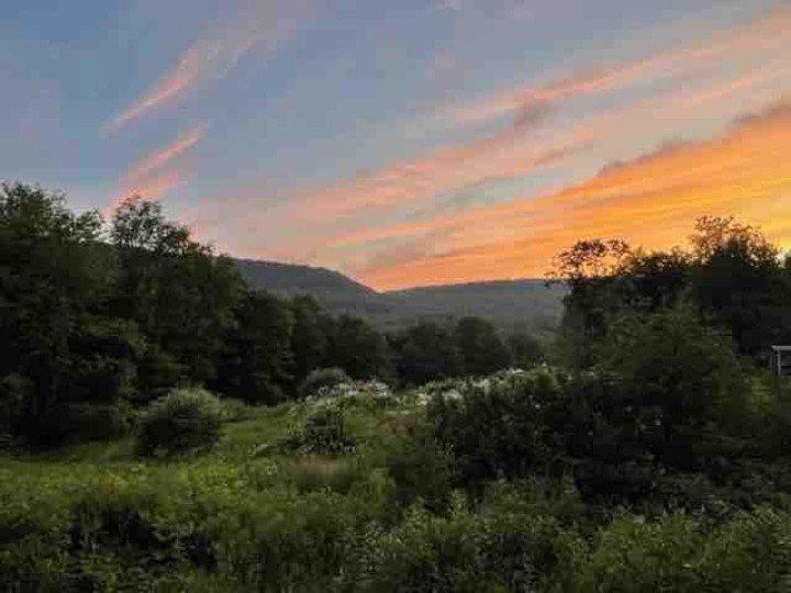 South Skaneateles Secluded Studio On 45 Acres - State of New York