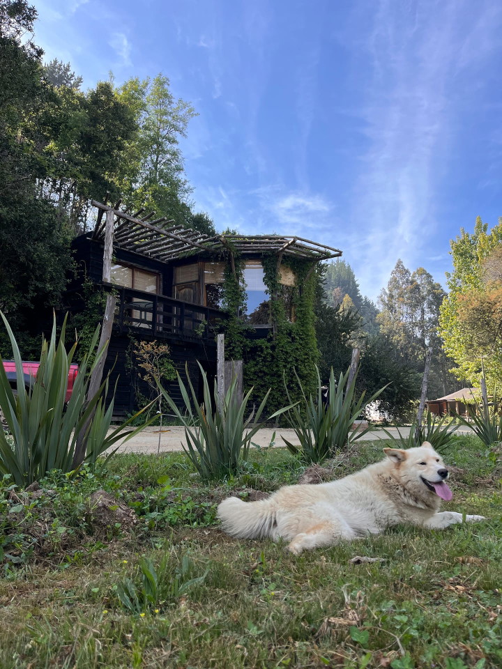 15 Minutes From The Beach, Steps From The Maule River. - Constitución