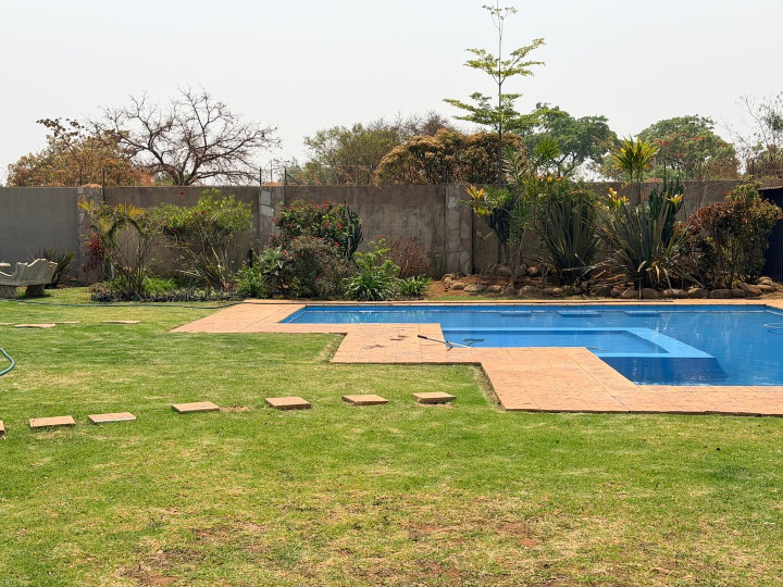 Zari In Norton - Zimbabwe