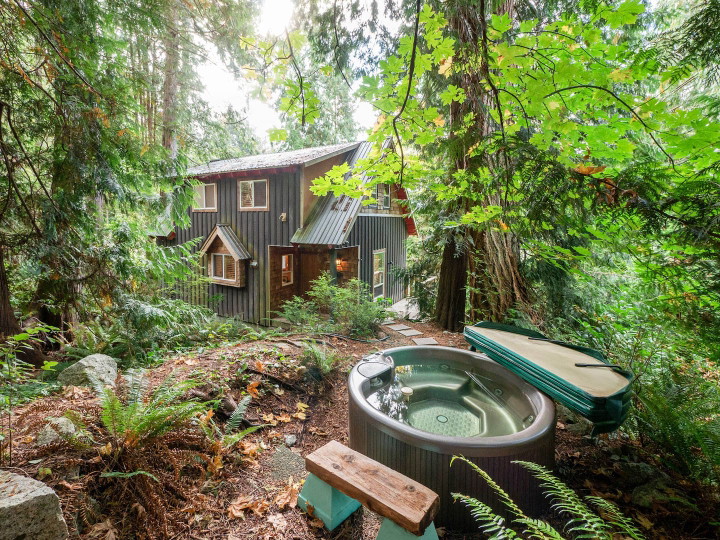 The Lily Pad - Sechelt