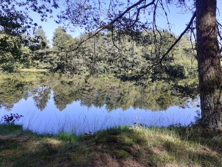 Gite "Chez La Yanore" - Corrèze