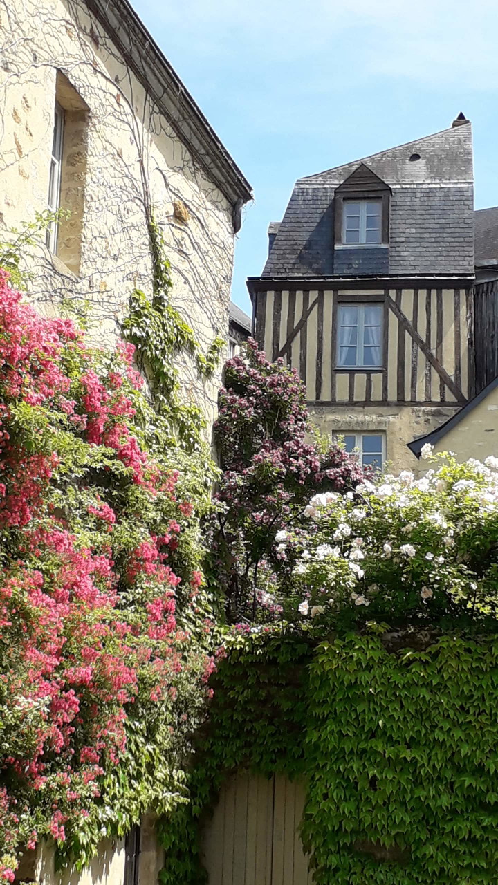 Maison Romantique Cœur Historique, Classé 4* - Le Mans