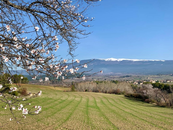 La Montagne Bleue Drôme Provençale Gîte 3 éToiles - Mont Serein