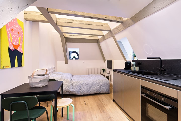 Cosy Studio En Hypercentre De Strasbourg - Strasbourg