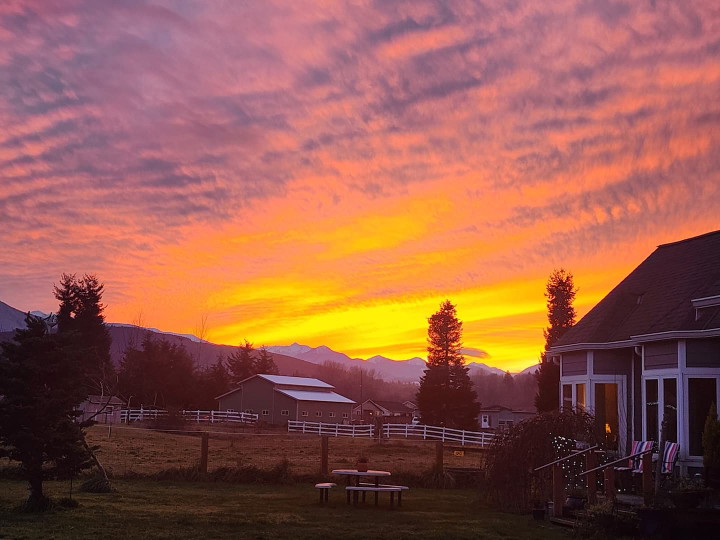 Sunny Farm Stay  Horses & Chickens  On The Odt - Sequim, WA