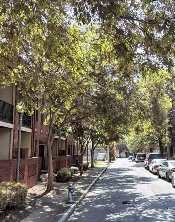Beautiful Brownstone Townhouse (Downtown Atlanta) - Smyrna, GA