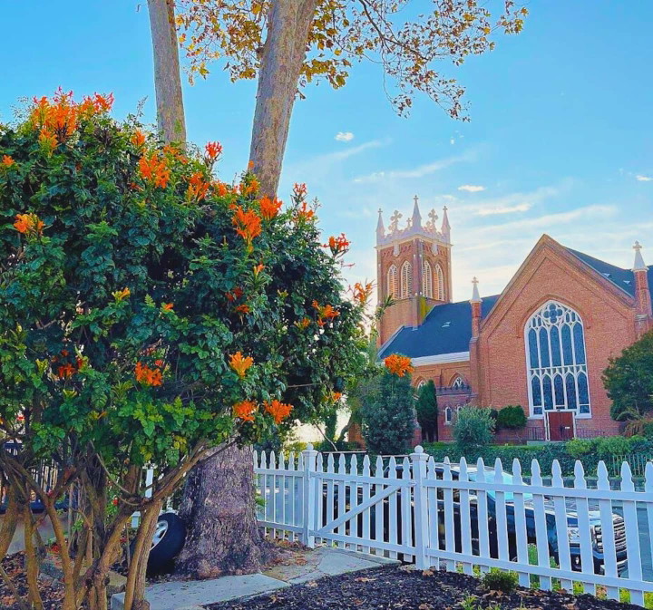 Top Of St. Vincent's Hill - Walk To Downtown - Vallejo, CA