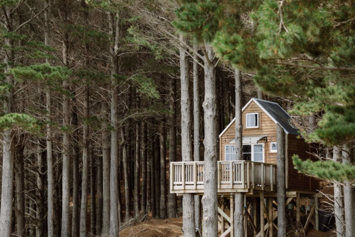 Raglan Tree House In The Woods With Outdoor Bath - Raglan