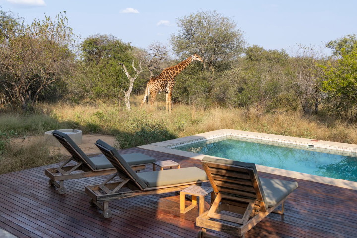 Afrikaya Bush Lodge - Hoedspruit