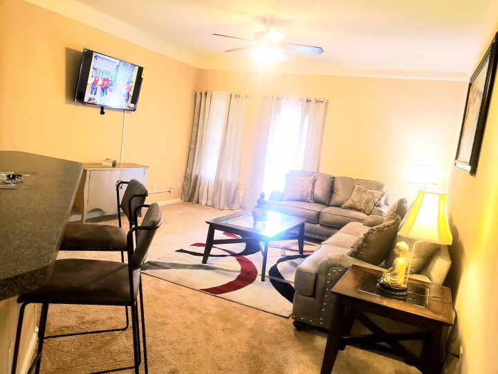 Contemporary Apt With Pool And Gym. - Snellville, GA