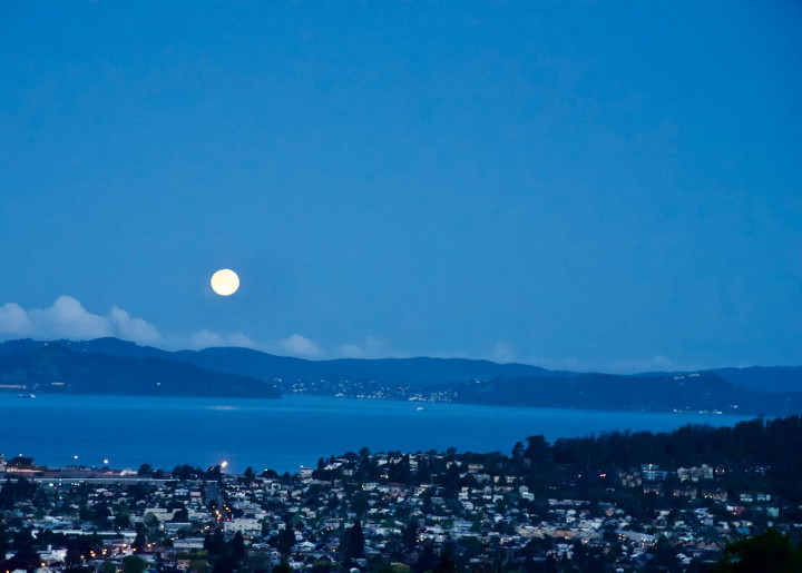 Sweeping Views In Berkeley Hills - Berkeley