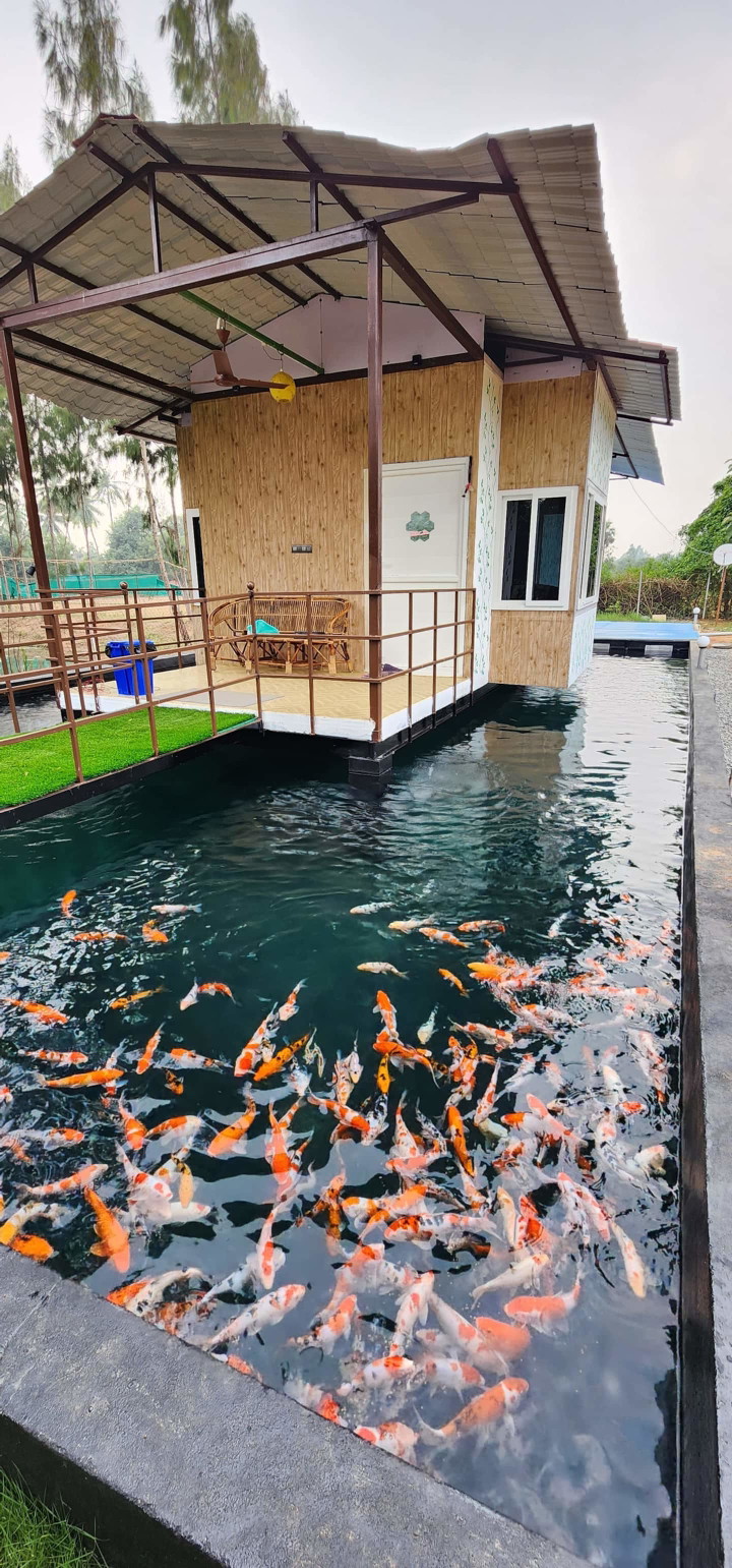 Pond House - Tindivanam