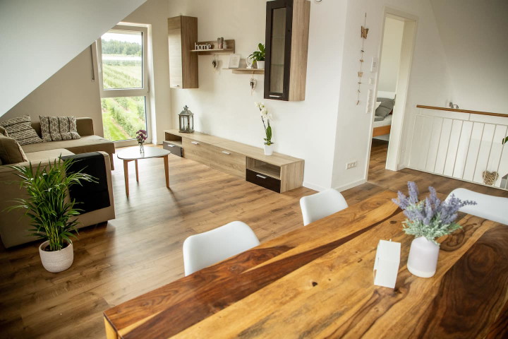 Bright 2-room Apartment With Views Of The Countryside - Bodensee
