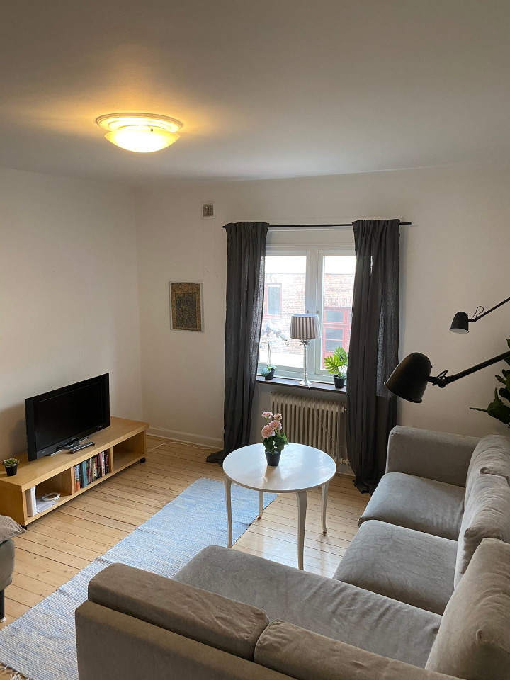 Nice And Bright 1-bedroom Apartment Near Slottsskogen! - Gothenburg