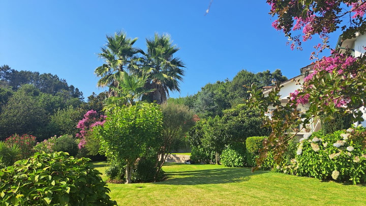 Casa Pinho - Viseu District