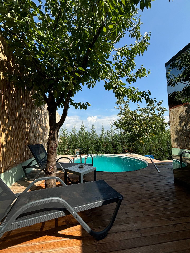 Perspective Mirror House Green (With Pool) - Kartepe