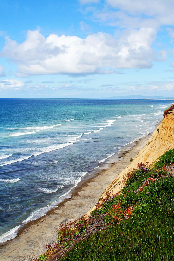 Oceanfront Dolphin Views At The Edge Of The Usa. 2-bed 1-bath Pet-friendly. - Del Mar, CA