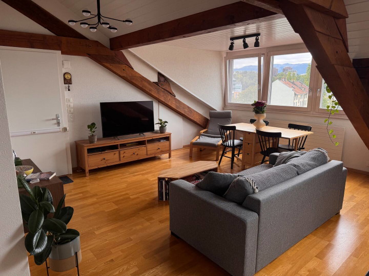 Cozy Apartment In Carouge - Carouge