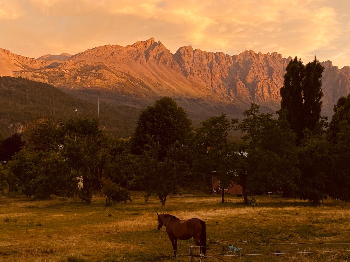 Cama En Hostel Nuevo· Espacios Grandes, Naturaleza - El Bolsón