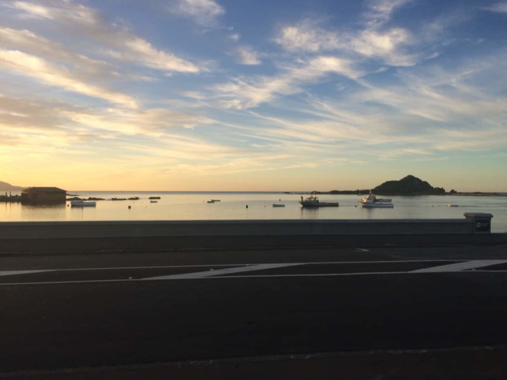 Close To Beach, City, Cafes And Airport - Wellington, New Zealand