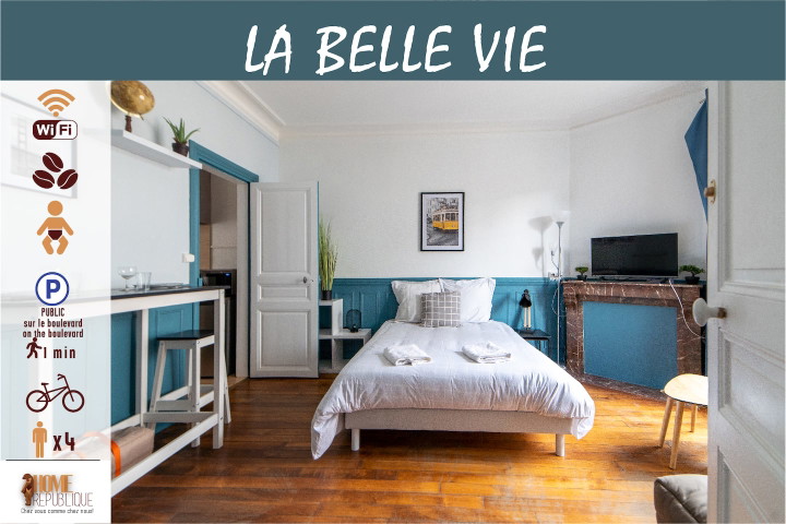 Cozy Downtown Apartment - Auxerre