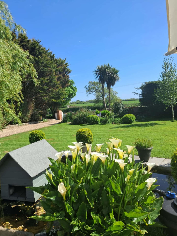 Beautifully Furnished Barn Annexe Near Cowbridge - Cowbridge