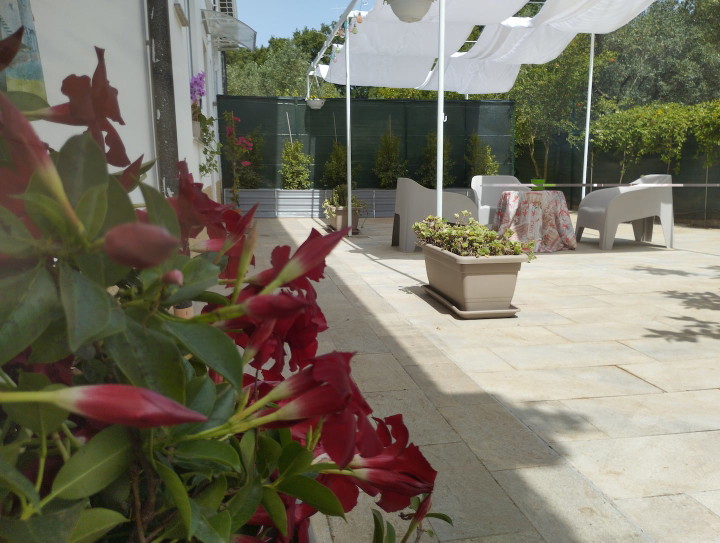 Residenza Casa Nel Verde
Tipologia: Monolocale - Calabrië