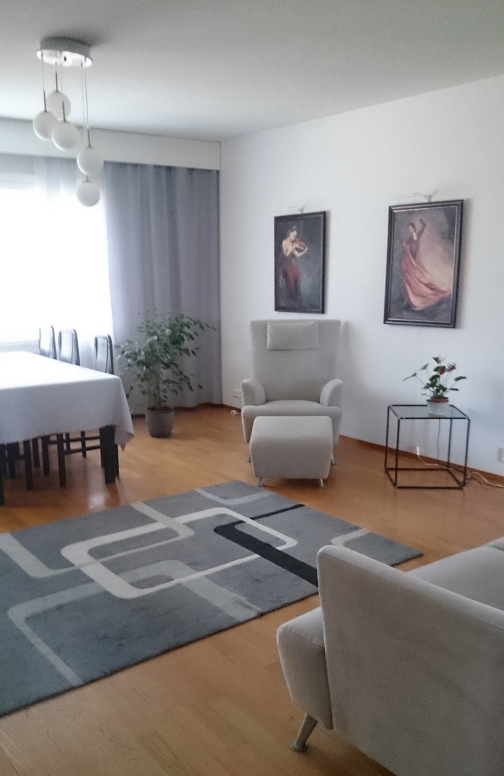 Large, Stylish Apartment In A Great Location - Tampere