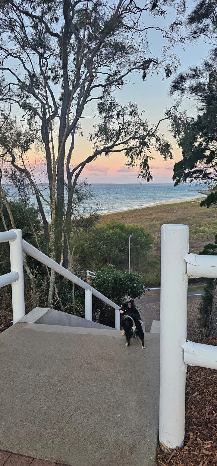 Beach & Park Across The Road. 1 Bed. Pet Friendly. - Hervey Bay