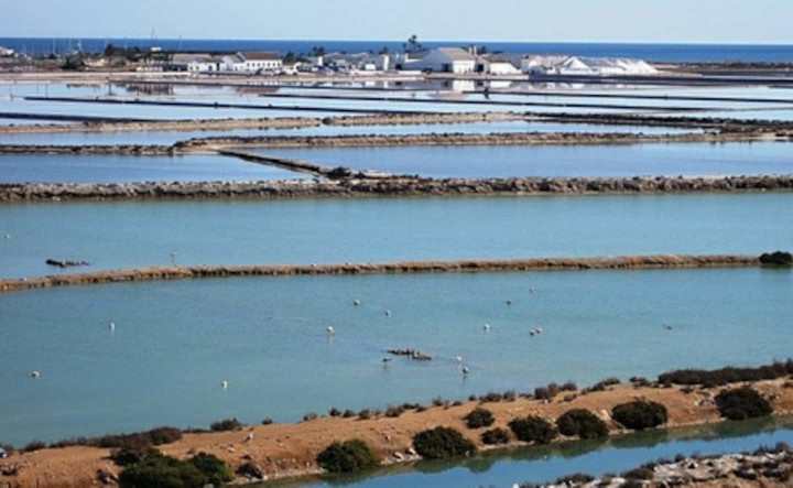 Mar Menor Wifi 50mtplaya Special Safe Vacation - San Pedro del Pinatar