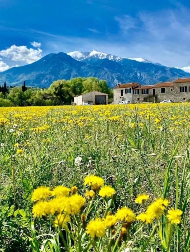 Gite Le Canigou 3 éToiles - Prades