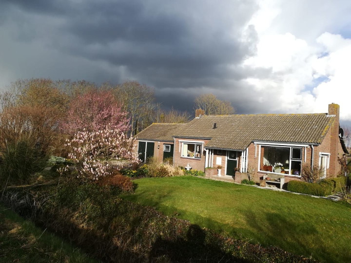 Petit Paradis - Vrouwenpolder