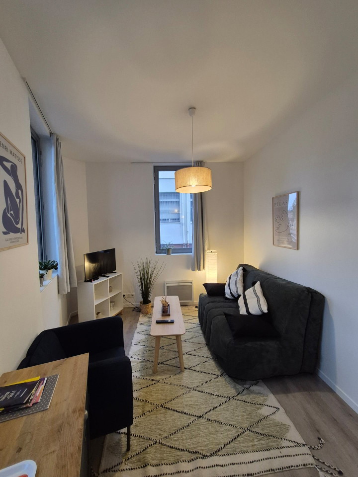 Renovated Two-bedroom Property In The Saint-cyprien Area - Toulouse