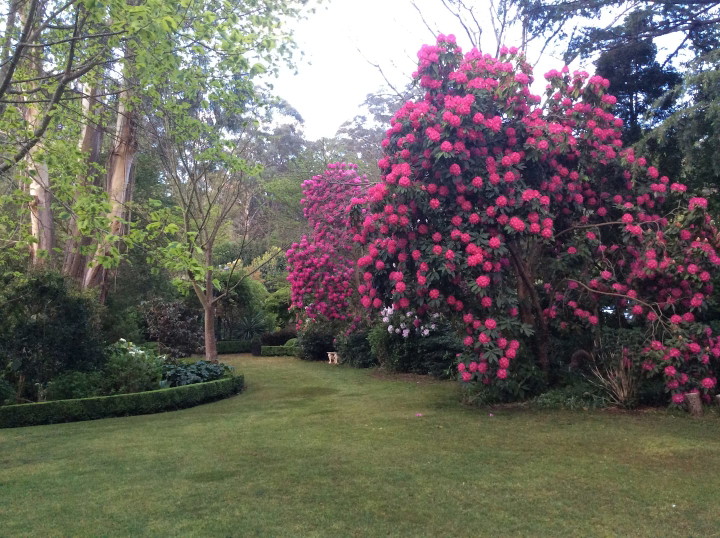 Buskers End - Southern Highlands