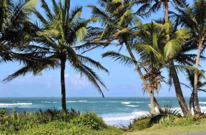 Enjoy Beaches & Nature @Marea Baja Beach House - Puerto Rico