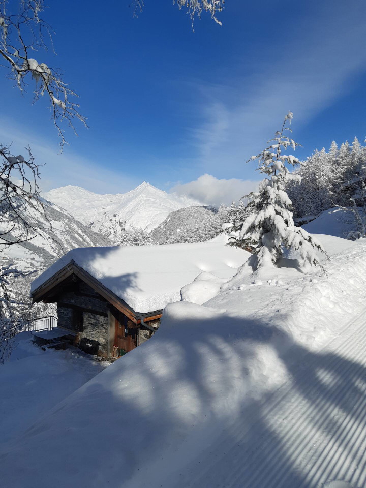 Chalet D'alpage 10-12 Personnes Les Arcs 1600 - Arc 2000