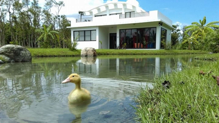 Hualien B&b < Shoufeng B&b < Fengping Langyang B&b / Detached / Vacation ~ 8 People Exclusive Private Space Undisturbed - Hualien County
