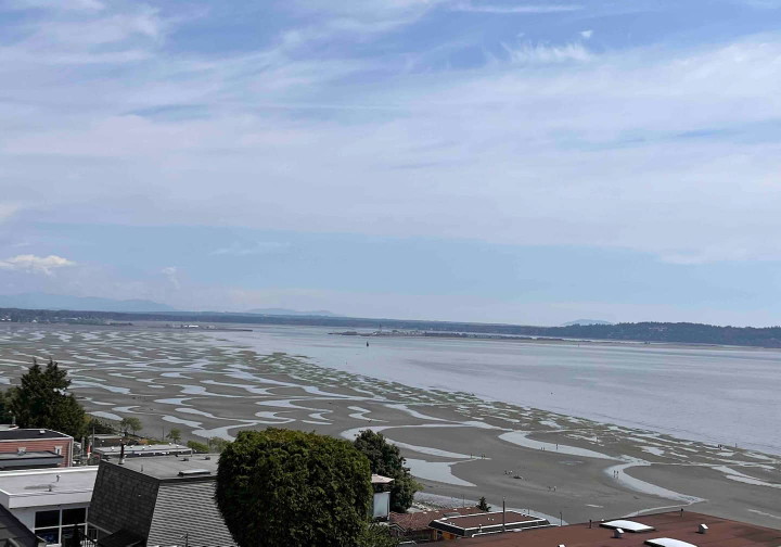 Sweet Home In The Rock! - White Rock