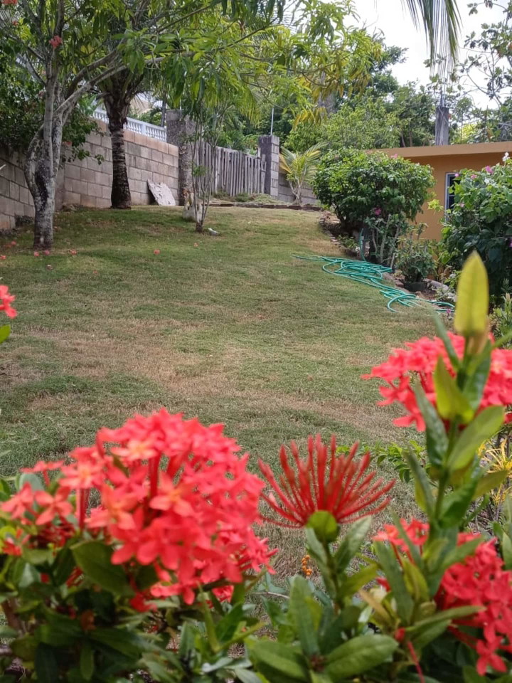 Buffys Home Away From Home - Ocho Rios