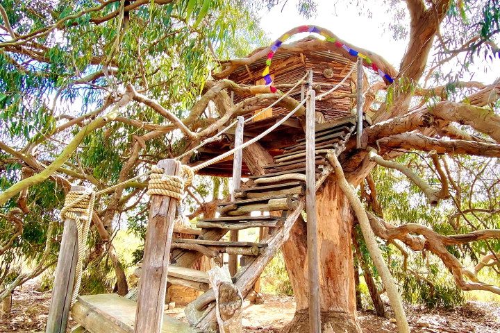 Magical Treehouse - Faro District
