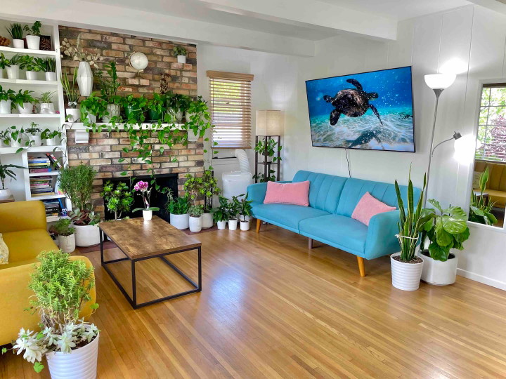 Cozy Green Escape - Manhattan Beach, CA