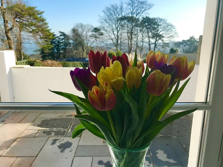 Beautiful Victorian Flat With Lovely Views - Torquay