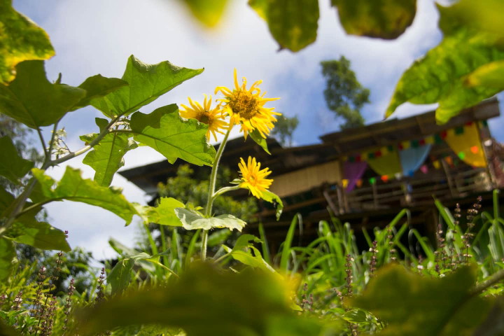 Spicy Villa Serene Mountain Getaway - Thailand