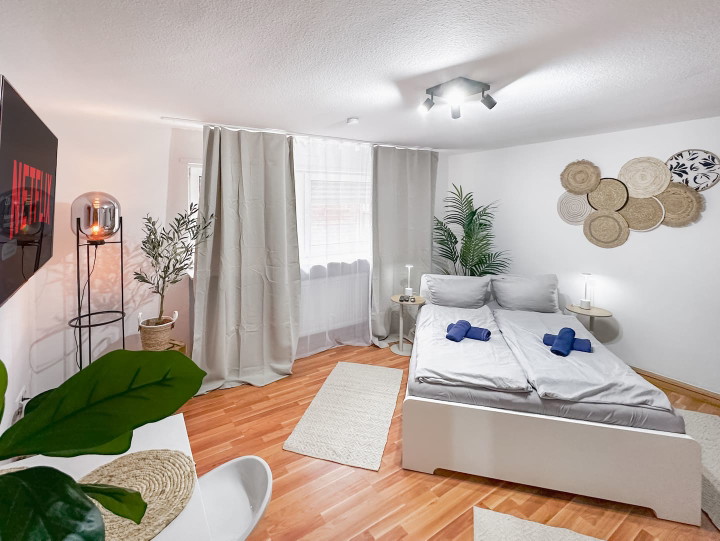 Urban Cozy Apartment - Kaiserslautern - Kaiserslautern