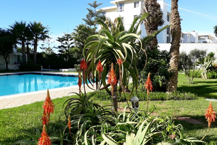 Essaouira Plage Appartement Piscine 2 - Essaouira