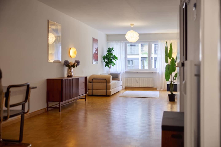 Central Vintage Apartment With Free Baselcard - Basel