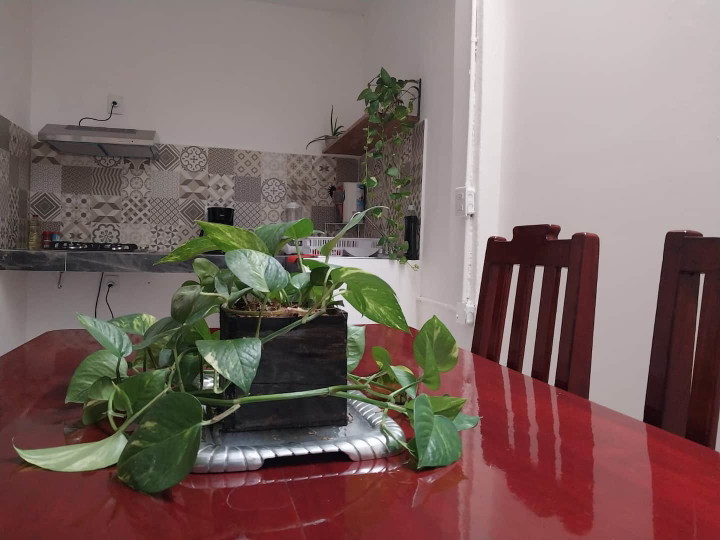 Comfortable Apartment In The Heart Of Tuxtla (Second Floor) - Tuxtla Gutiérrez
